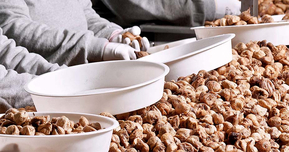 The Best of the Dried Figs Manufacturers | LADACA Inc.