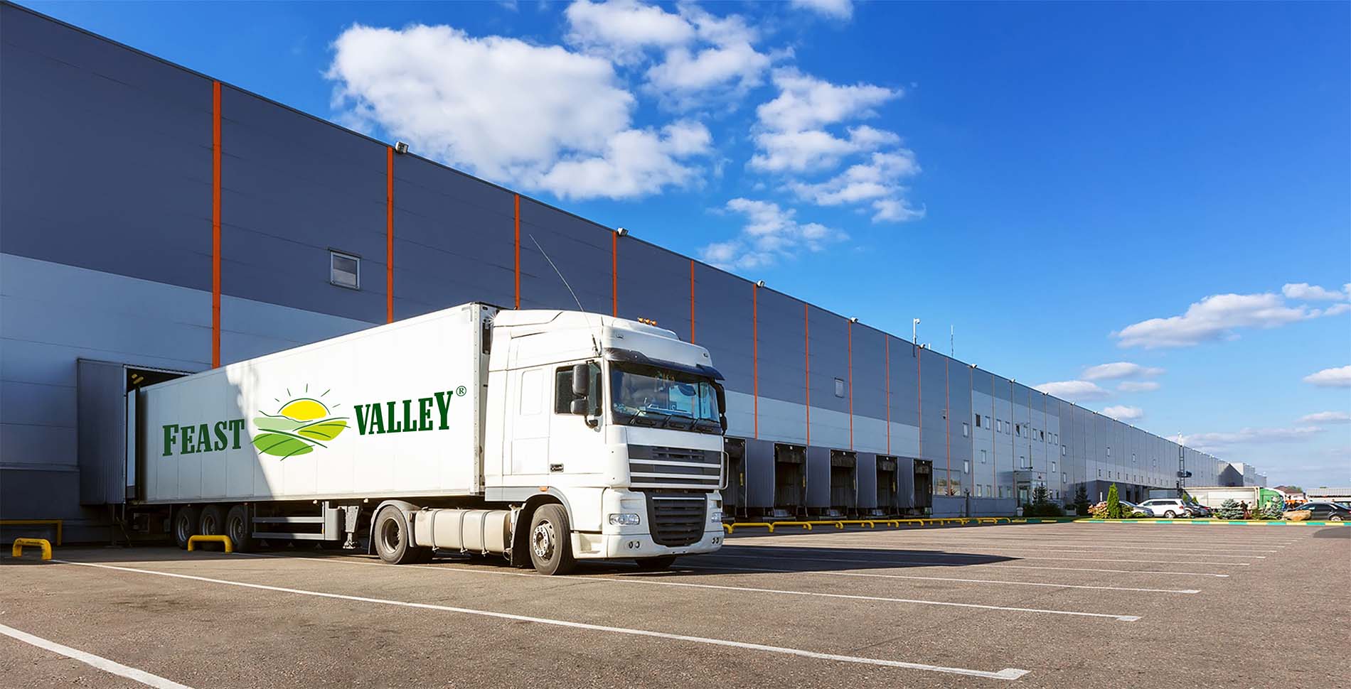 Best Turkish Bulk Wholesale Food Suppliers for Resellers